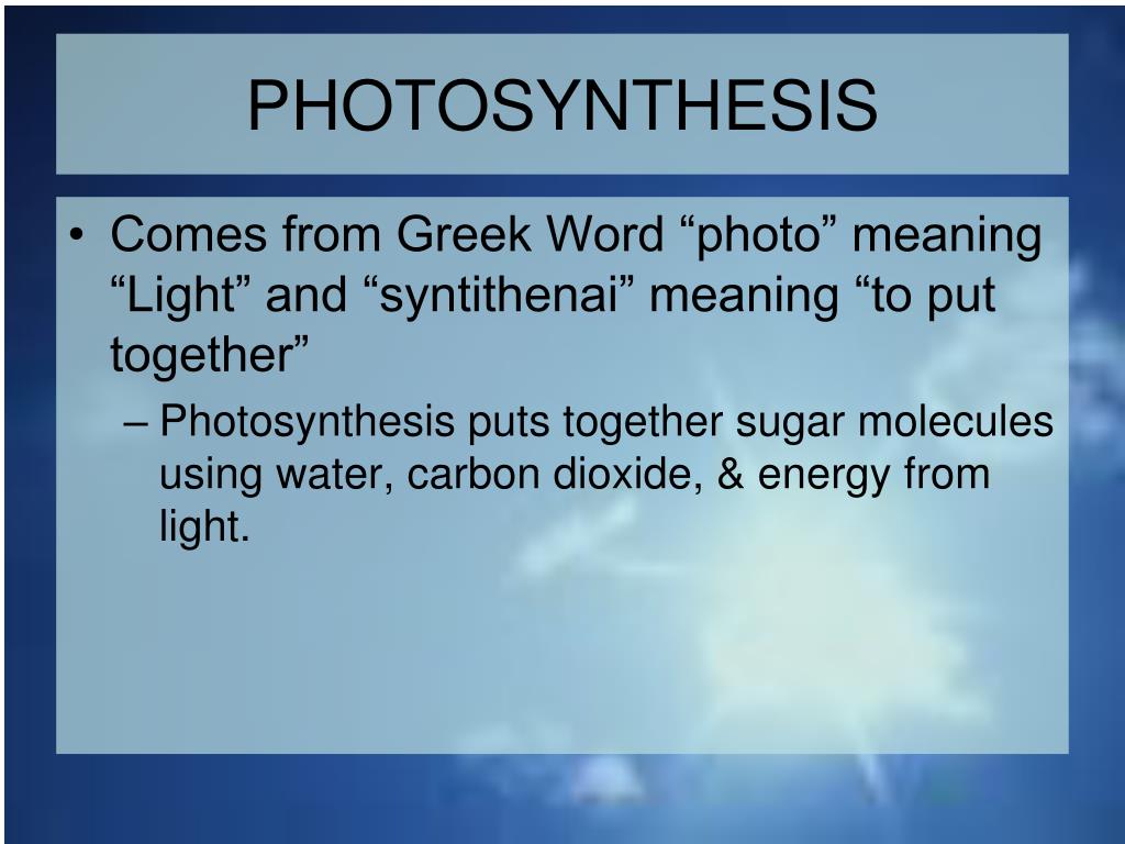 PPT - Exploring Alien Flora: How Star Types Influence Photosynthesis ...