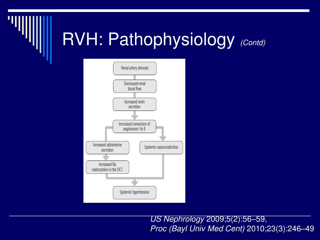 PPT - Recent advances in renal hypertension PowerPoint Presentation ...