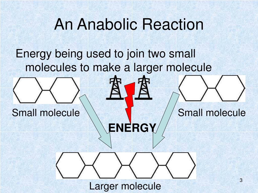 PPT - 1.3.5 Energy Transfer Reactions PowerPoint Presentation, free ...