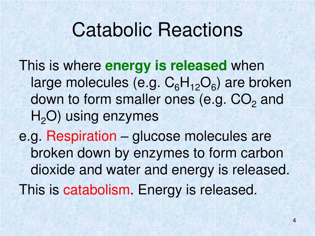 PPT - 1.3.5 Energy Transfer Reactions PowerPoint Presentation, free ...