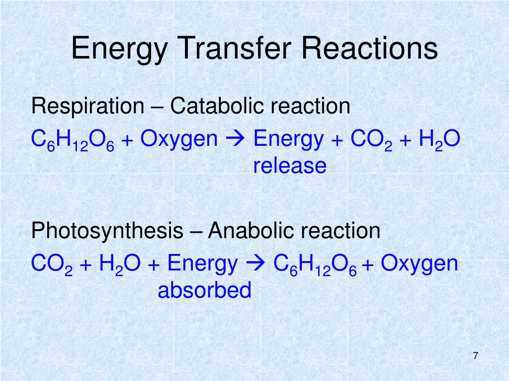 PPT - 1.3.5 Energy Transfer Reactions PowerPoint Presentation, free ...