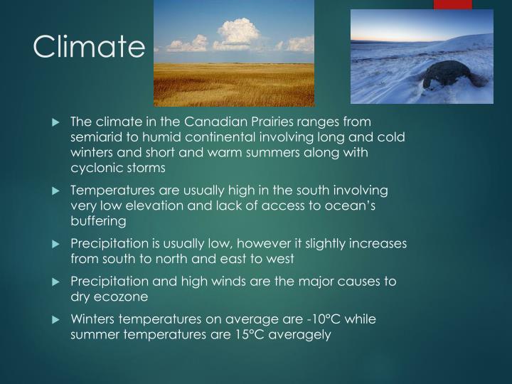 PPT - Canadian Prairies PowerPoint Presentation - ID:1785904