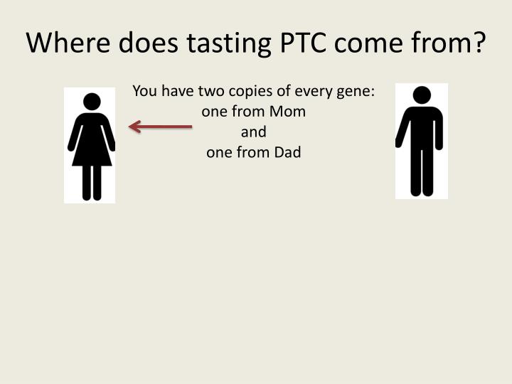 PPT - What is DNA? PowerPoint Presentation - ID:1786077