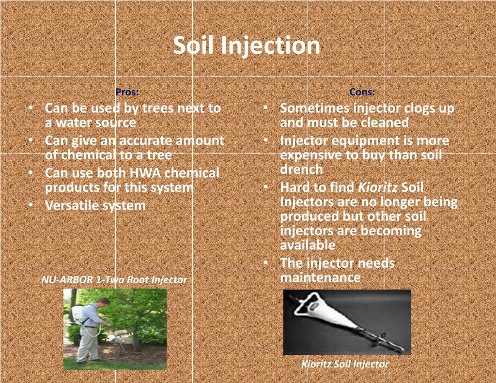PPT - Tennessee Hemlock Conservation Partnership PowerPoint ...