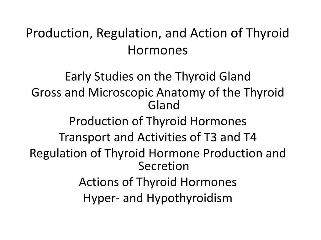 Ppt Production Regulation And Action Of Thyroid Hormones Powerpoint