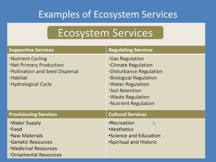 PPT - Ecosystem Services Value Calculator ( ESVC) PowerPoint ...