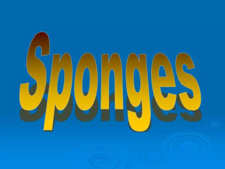 PPT - Sponges PowerPoint Presentation, free download - ID:1788369
