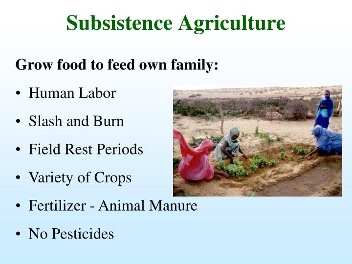 PPT - Land Management PowerPoint Presentation - ID:1788639