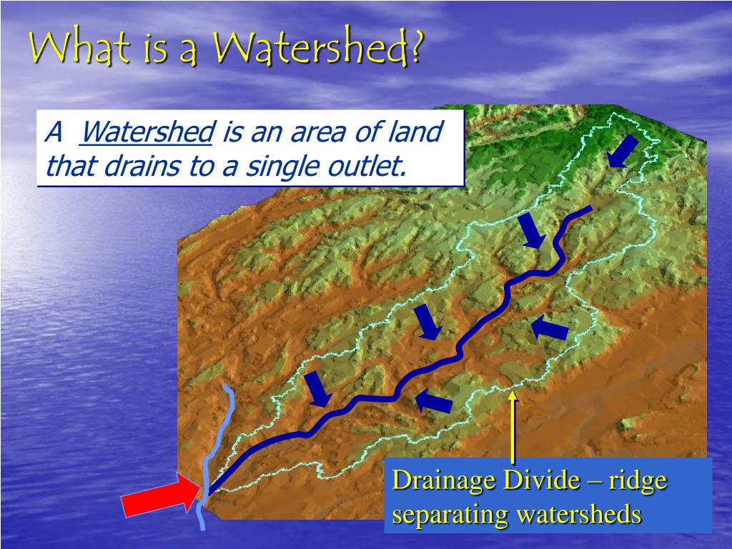 PPT - Water Cycle, Surface Water and Water Sheds PowerPoint ...