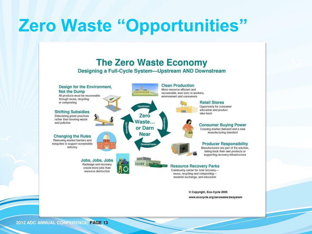 PPT - Environmental Sustainability and The Brave New World of Zero ...