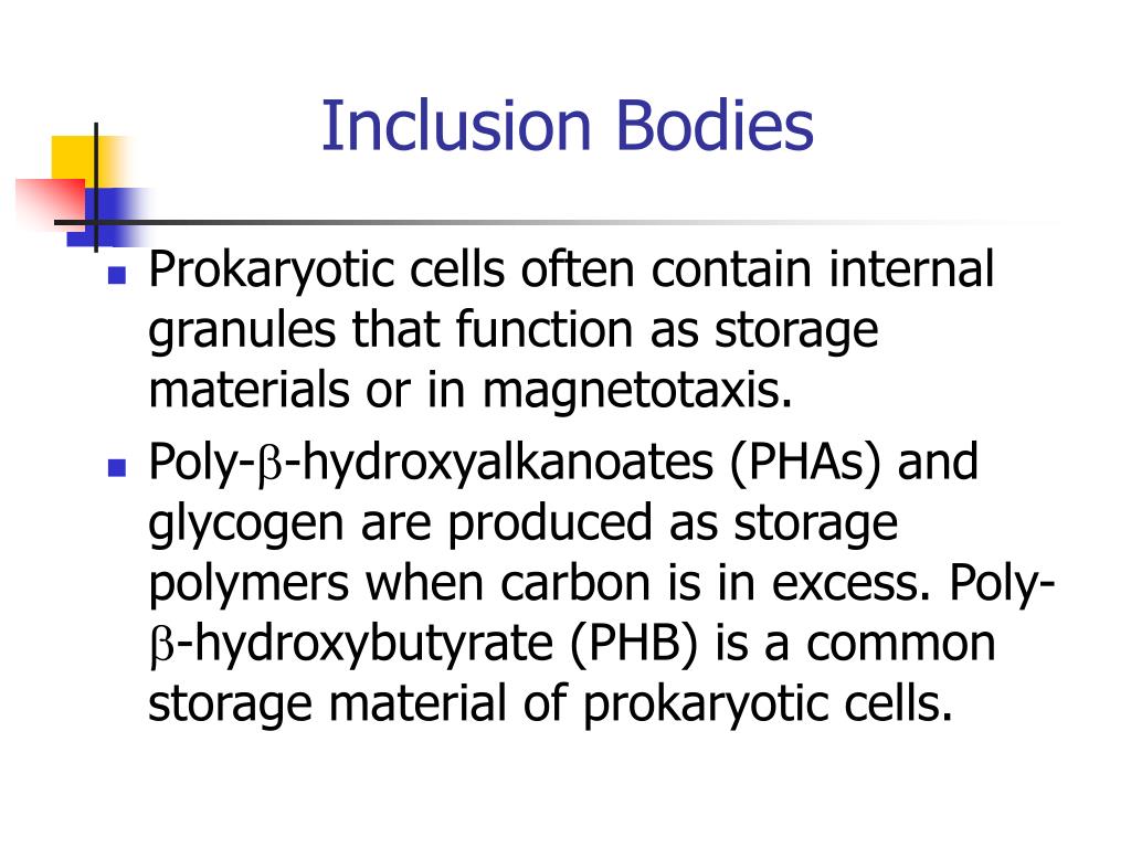 PPT - General Microbiology (Micr300) PowerPoint Presentation, free ...