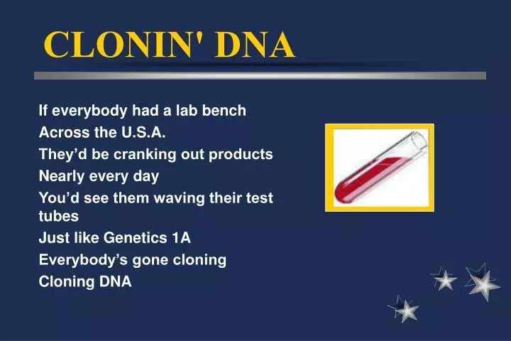 PPT - CLONIN' DNA PowerPoint Presentation, free download - ID:1789969
