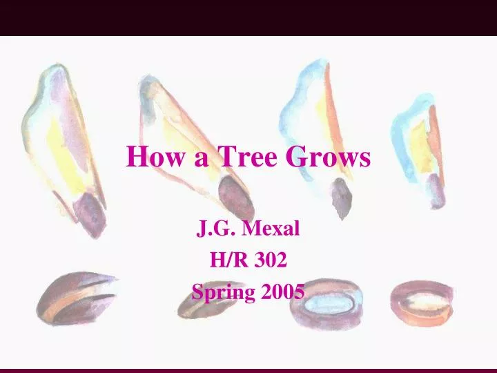 PPT - How a Tree Grows PowerPoint Presentation, free download - ID:1790025