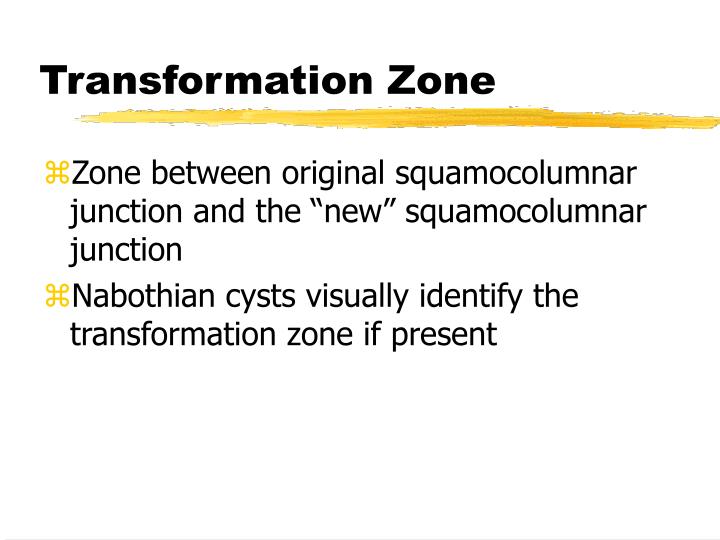 PPT - The Pap Smear: Technique and Interpretation PowerPoint ...