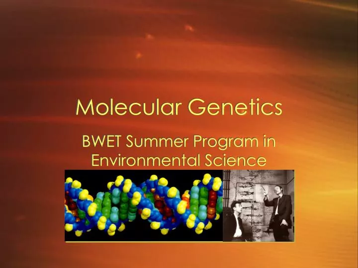 PPT - Molecular Genetics PowerPoint Presentation, free download - ID ...