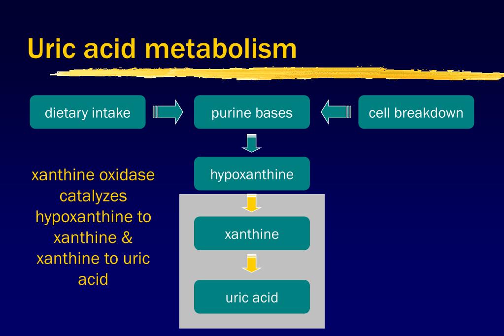 PPT - Drug Therapy of Gout PowerPoint Presentation, free download - ID ...