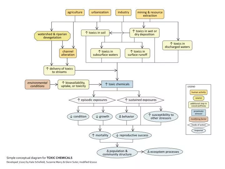 PPT - human activity PowerPoint Presentation, free download - ID:1792922