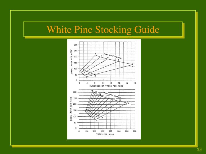 PPT - Density and Stocking PowerPoint Presentation - ID:1793316