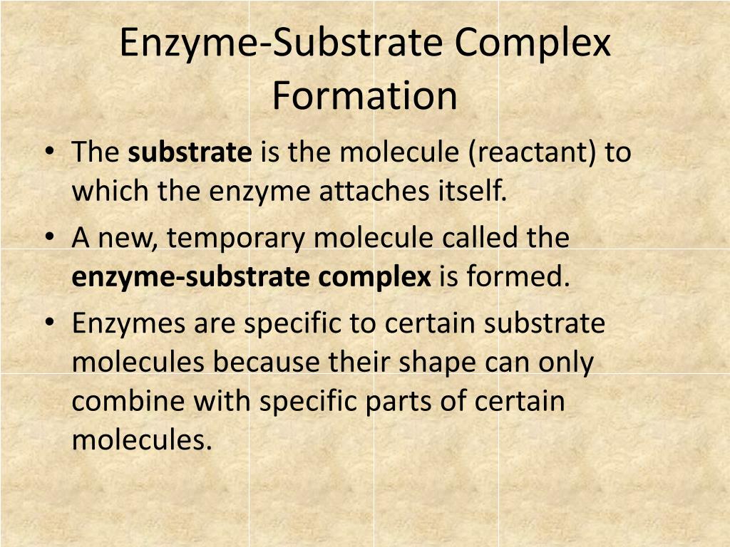 PPT - Enzymes, Coenzymes, And Energy PowerPoint Presentation, free ...