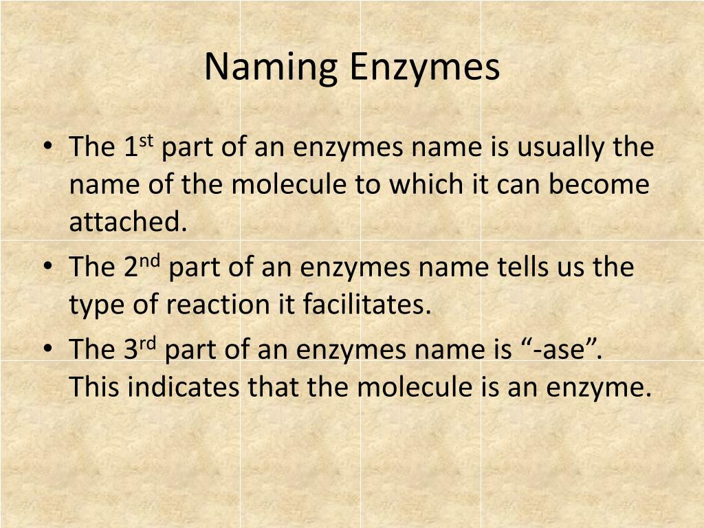 PPT - Enzymes, Coenzymes, And Energy PowerPoint Presentation, free ...