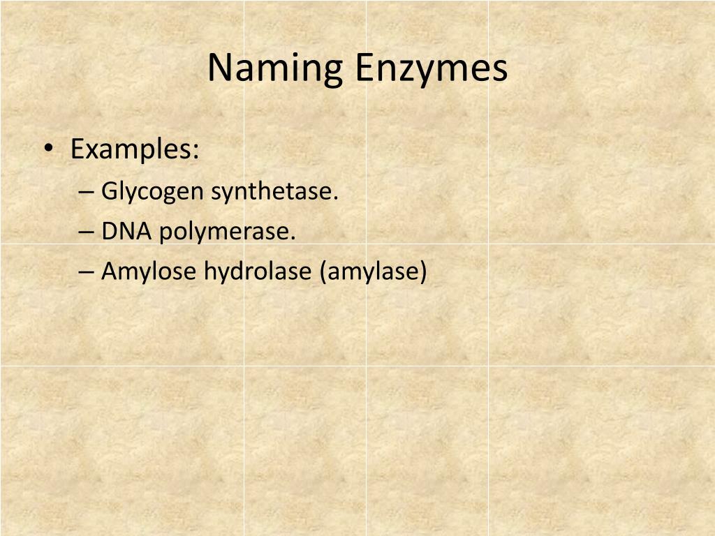 PPT - Enzymes, Coenzymes, And Energy PowerPoint Presentation, free ...