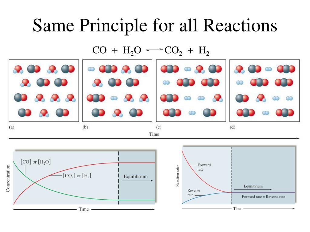 PPT - Investigating Chemical Reactions: Equilibrium and Rates ...