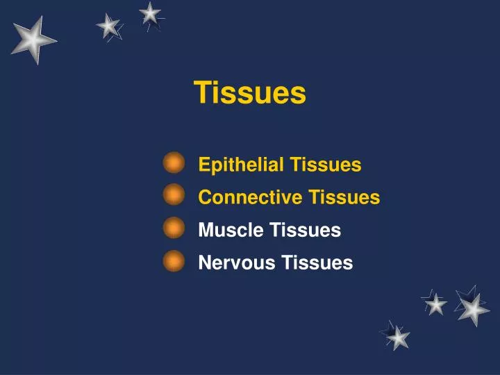 PPT - Tissues PowerPoint Presentation, free download - ID:1793665