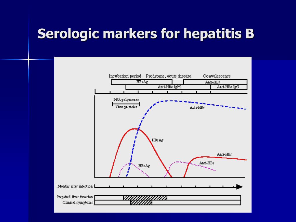PPT - Hepatitis Viruses Dr. Alvaro Barboza Quintana. Profesor de ...