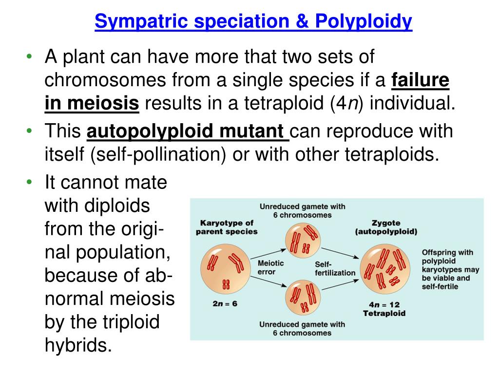 PPT - General Biology (Bio107) PowerPoint Presentation, free download ...