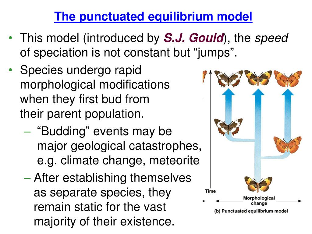 PPT - General Biology (Bio107) PowerPoint Presentation, free download ...