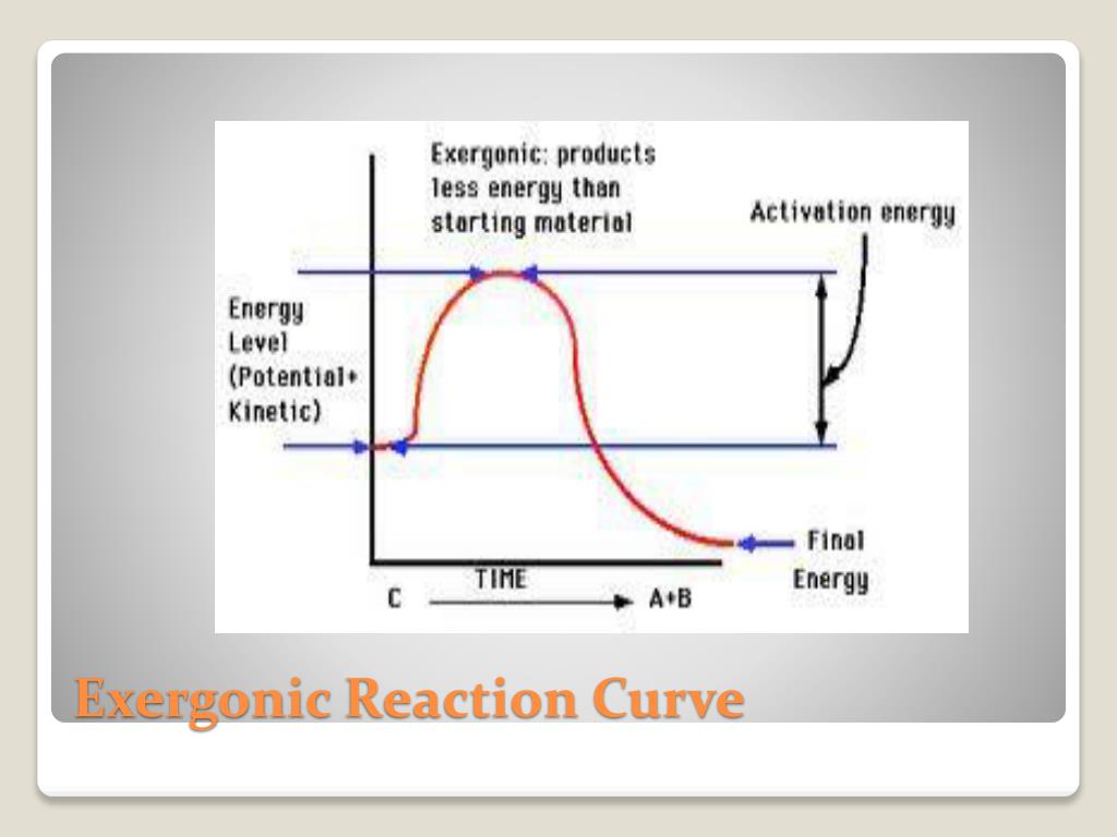 PPT - CHEMICAL REACTIONS & ENZYMES PowerPoint Presentation, free ...