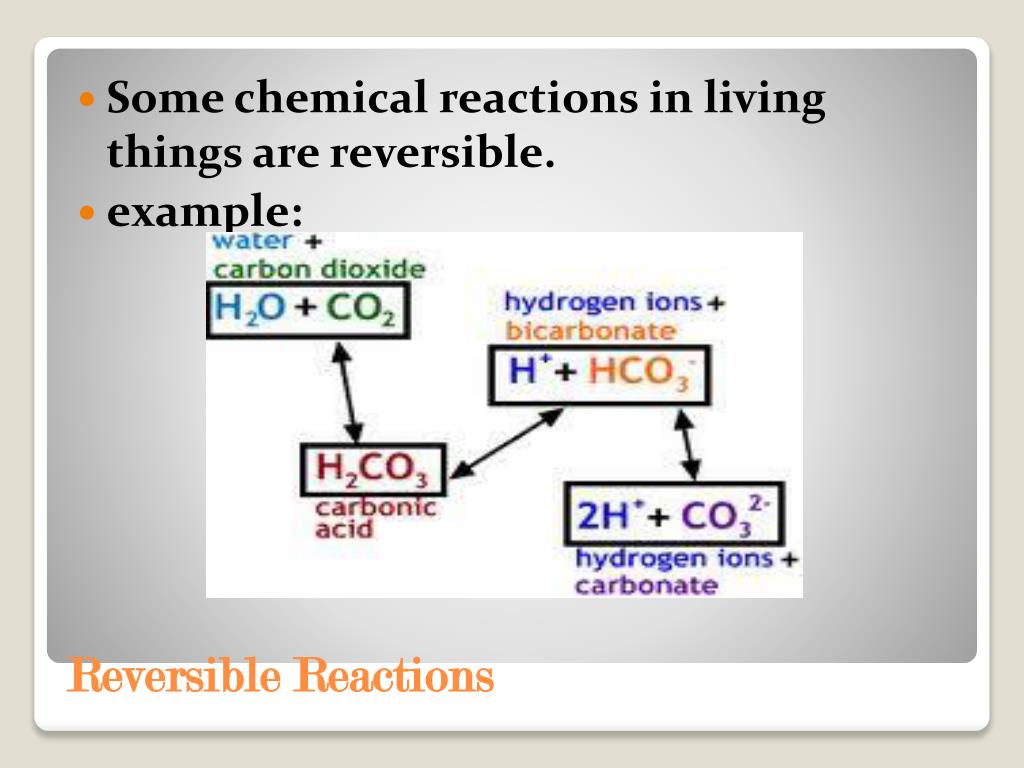 PPT - CHEMICAL REACTIONS & ENZYMES PowerPoint Presentation, free ...