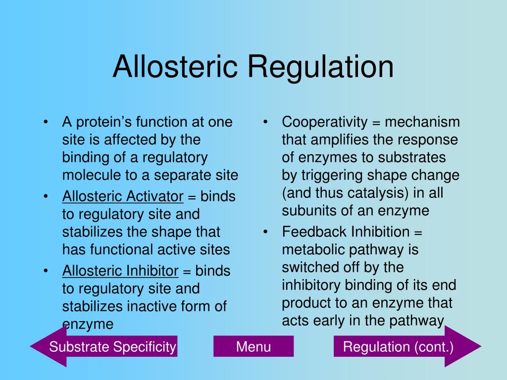 PPT - Chemistry, Biomolecules, and Enzymes PowerPoint Presentation ...