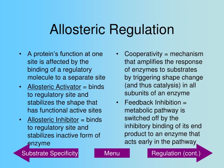PPT - Chemistry, Biomolecules, and Enzymes PowerPoint Presentation - ID ...