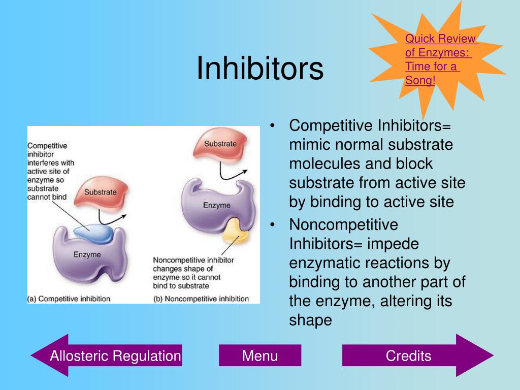 PPT - Chemistry, Biomolecules, and Enzymes PowerPoint Presentation ...