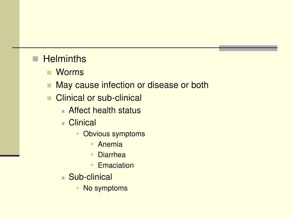 PPT - Stephanofilaria habronema Transmitted by Houseflies Stable flies ...