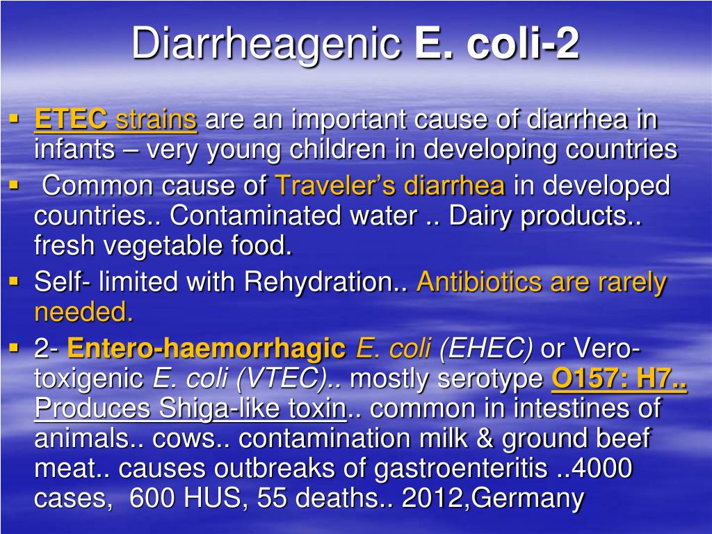 PPT - Bacterial Gastrointestinal Infection 2-Year Medical Students ...
