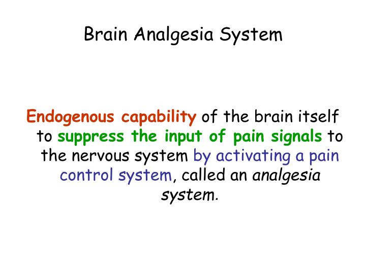 PPT - Brain Analgesia System PowerPoint Presentation - ID:1795663