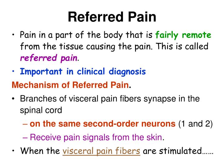PPT - Brain Analgesia System PowerPoint Presentation - ID:1795663