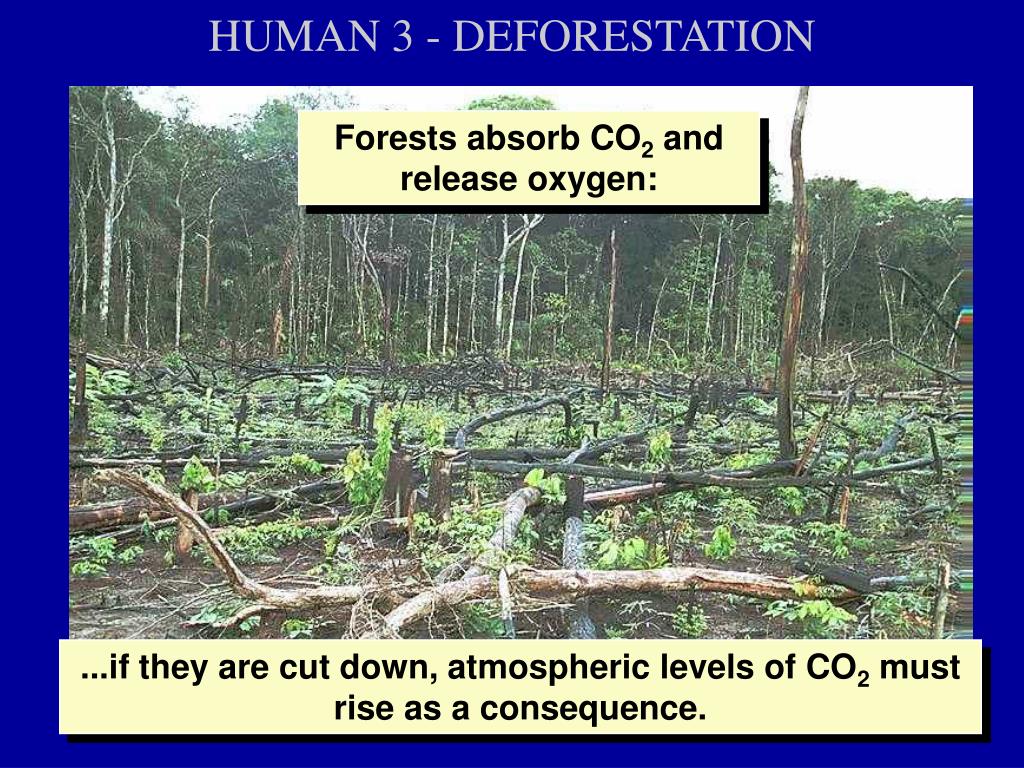 PPT - GLOBAL CLIMATE CHANGE - HUMAN FACTORS - 1 - THE ENHANCED ...