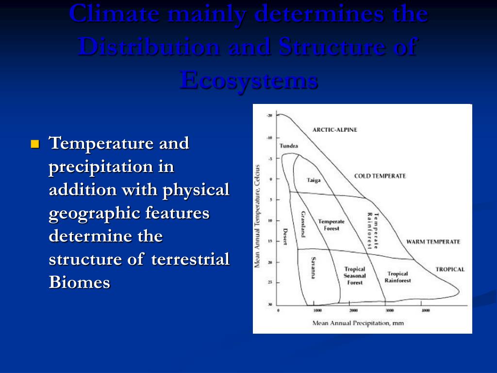 PPT - Biodiversity, Human Impact, and Conservation PowerPoint ...