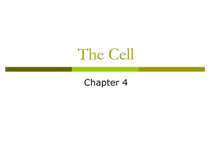 PPT - The Cell PowerPoint Presentation, free download - ID:1796804