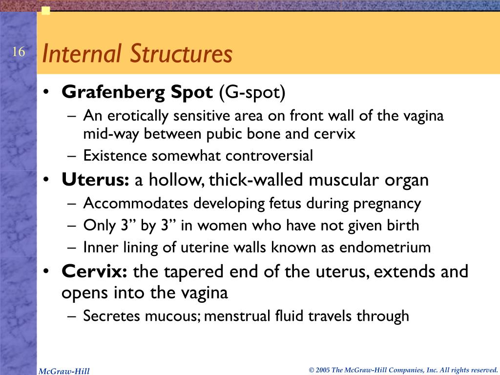 PPT - Female Sexual Anatomy PowerPoint Presentation, free download - ID ...