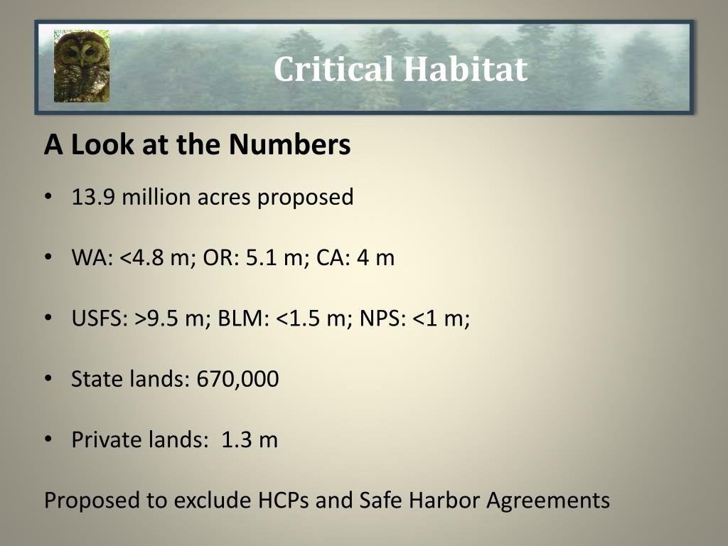 PPT - Northern Spotted Owl Recovery PowerPoint Presentation, free ...