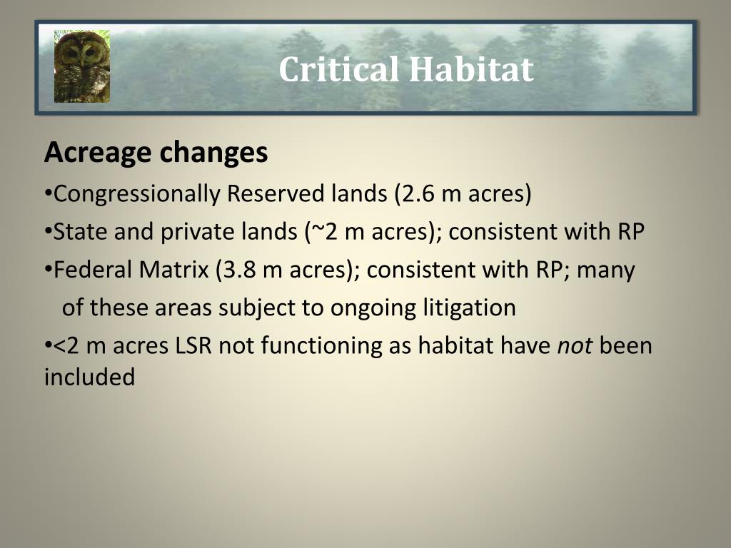 PPT - Northern Spotted Owl Recovery PowerPoint Presentation, free ...