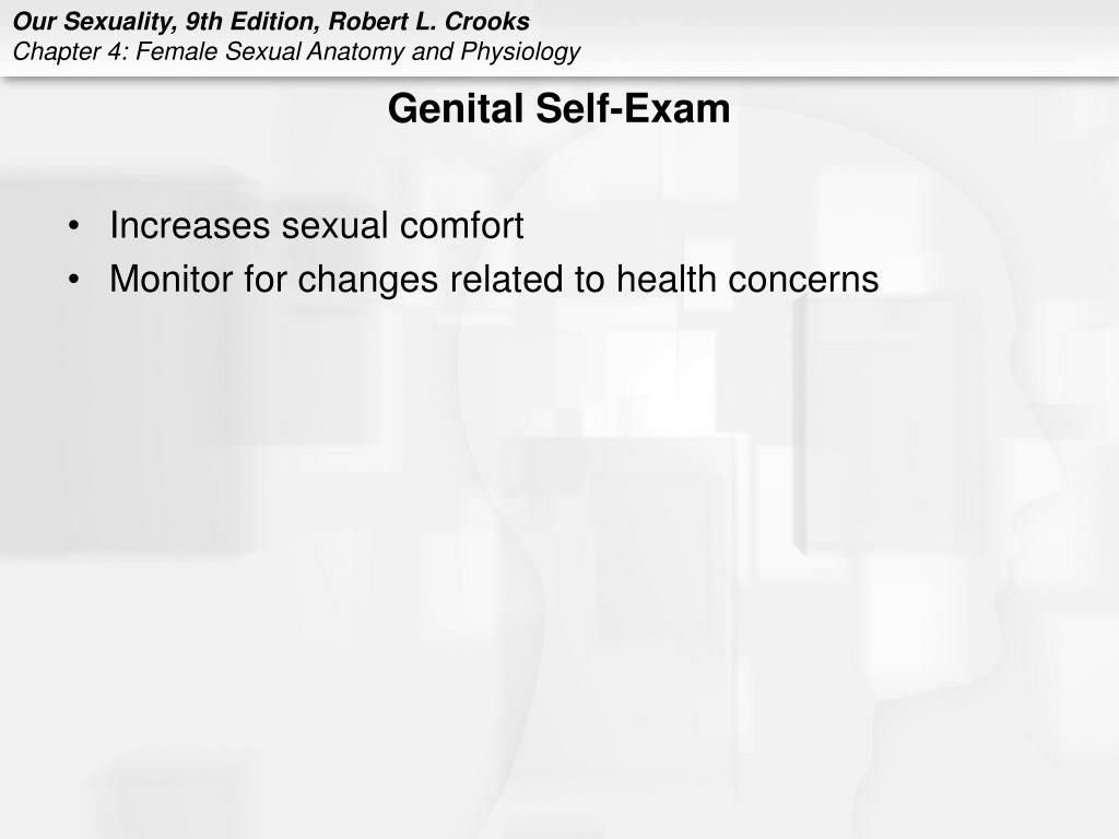 PPT - Chapter 4 Female Sexual Anatomy and Physiology PowerPoint Presentation - ID:1797026