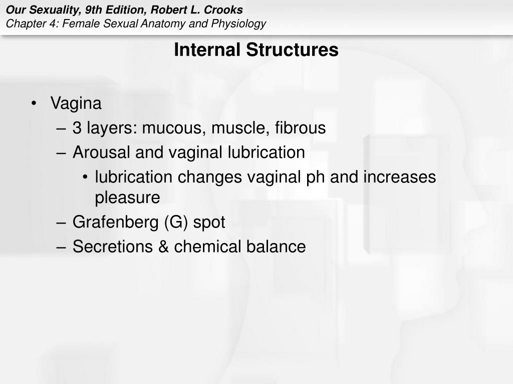 PPT - Chapter 4 Female Sexual Anatomy and Physiology PowerPoint ...
