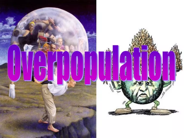 PPT - Overpopulation PowerPoint Presentation, free download - ID:1797222