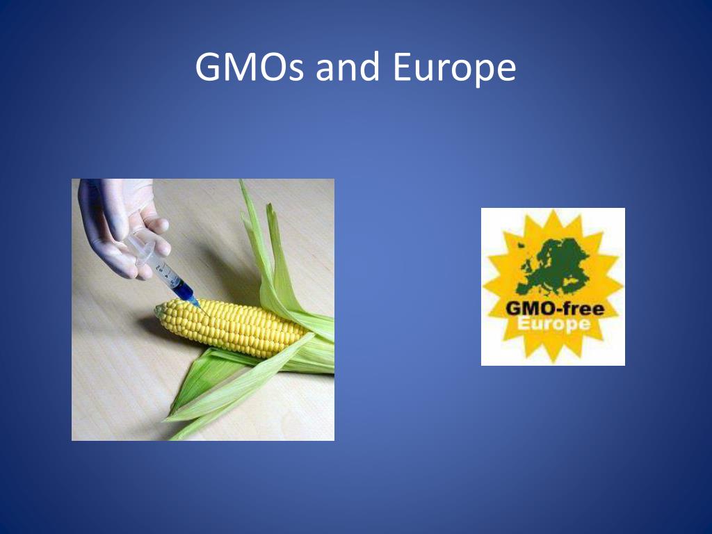PPT - Beef Hormones and the European Community PowerPoint Presentation ...