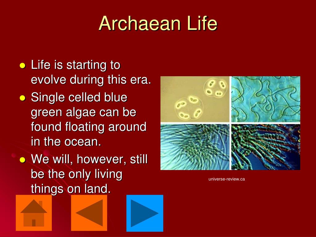 PPT - Prestige Worldwide Travel Agency presents Time Travel PowerPoint ...
